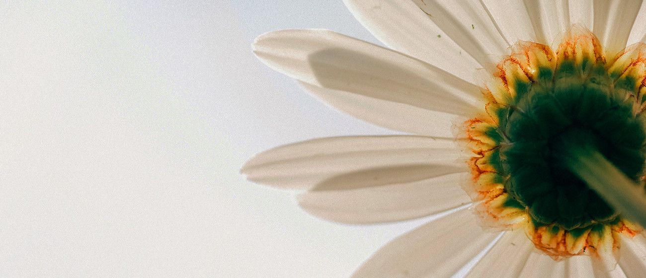 Outdoor worship: Garden prayer stations - engageworship